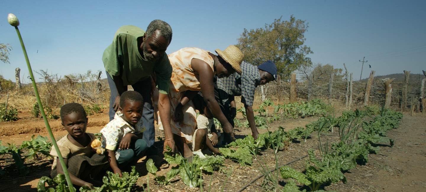 Brighter futures for young Kenyan farmers - Practical Action