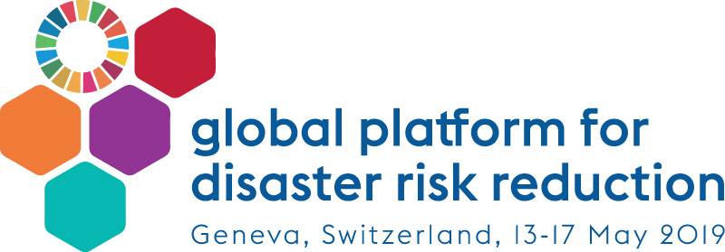 Global Platform for Risk Reduction 2019 - Practical Action