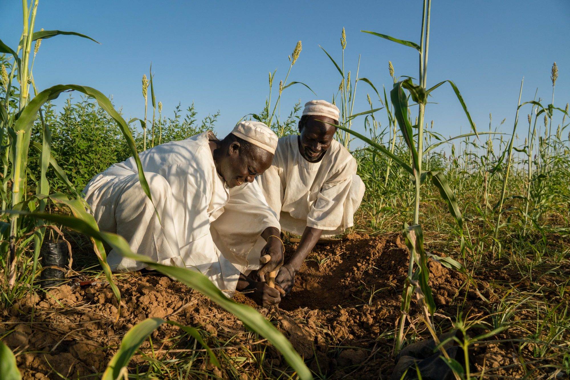 10 ingenious ways to adapt to climate change and protect the planet ...