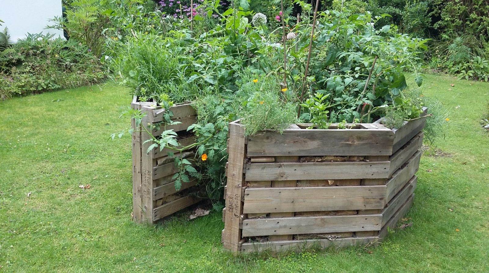 How to create your own keyhole garden - Practical Action