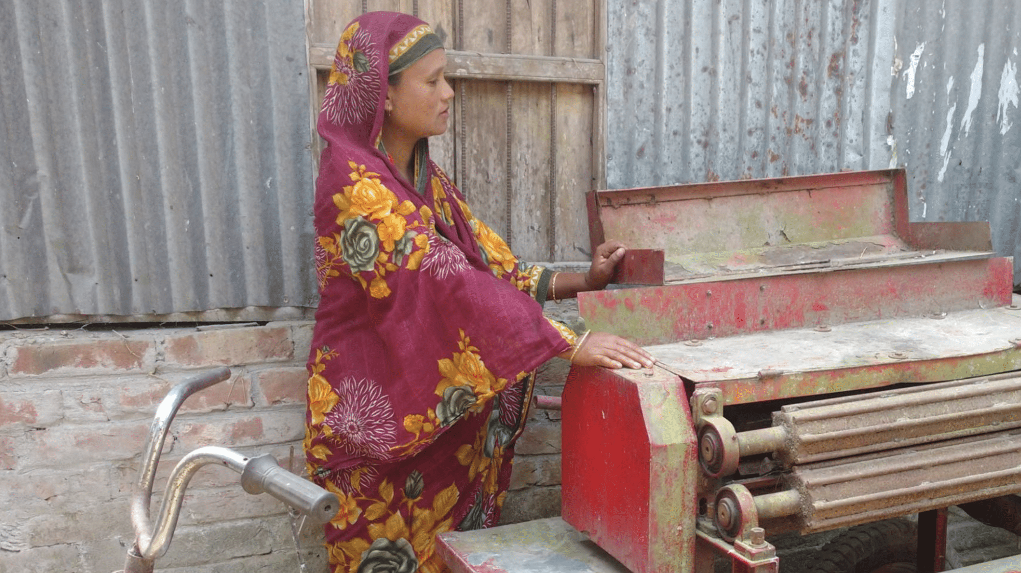 Powerful plants: nature-based solutions in Asia - Practical Action