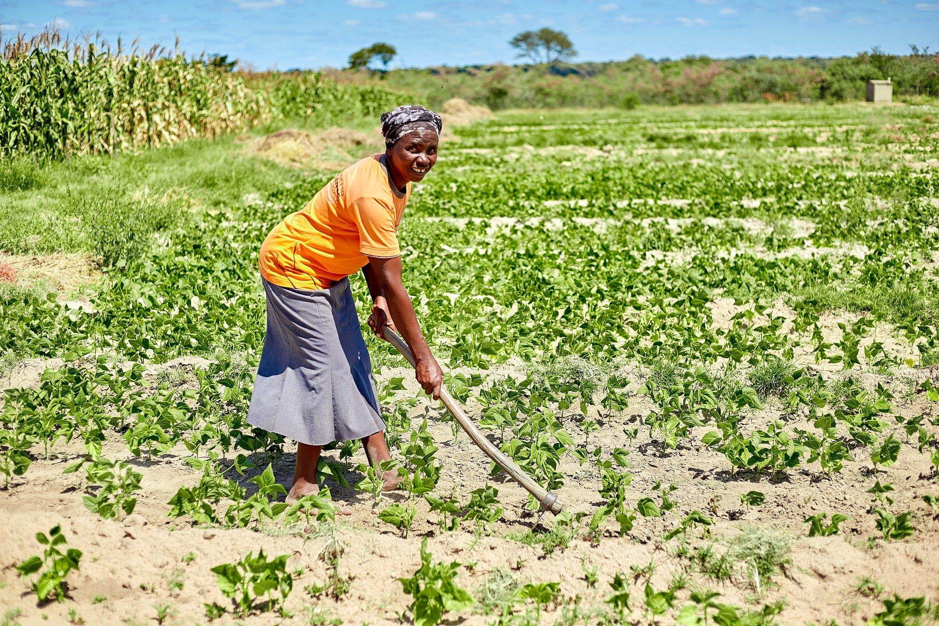 Agriculture and markets - Practical Action