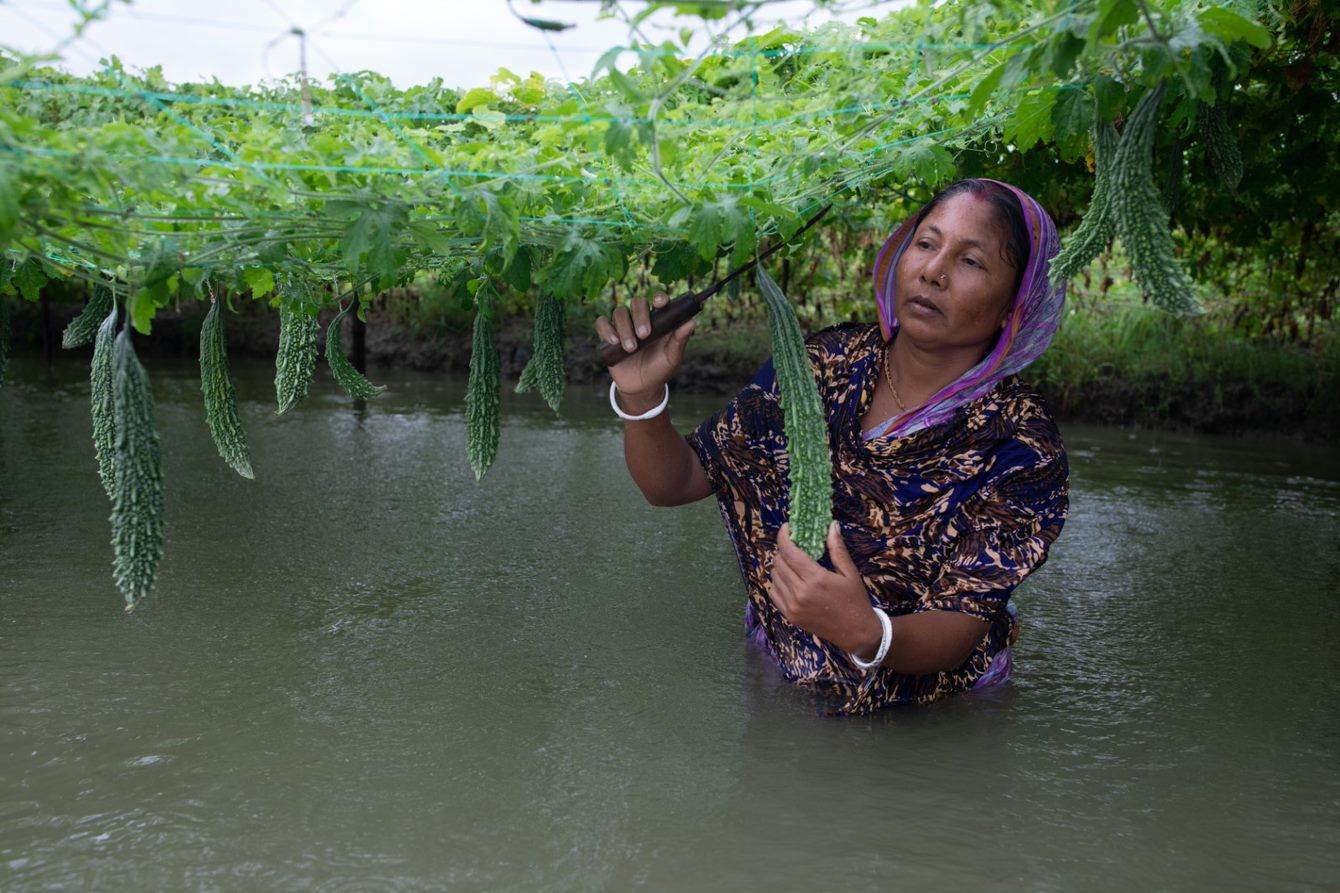 Climate resilience - Practical Action