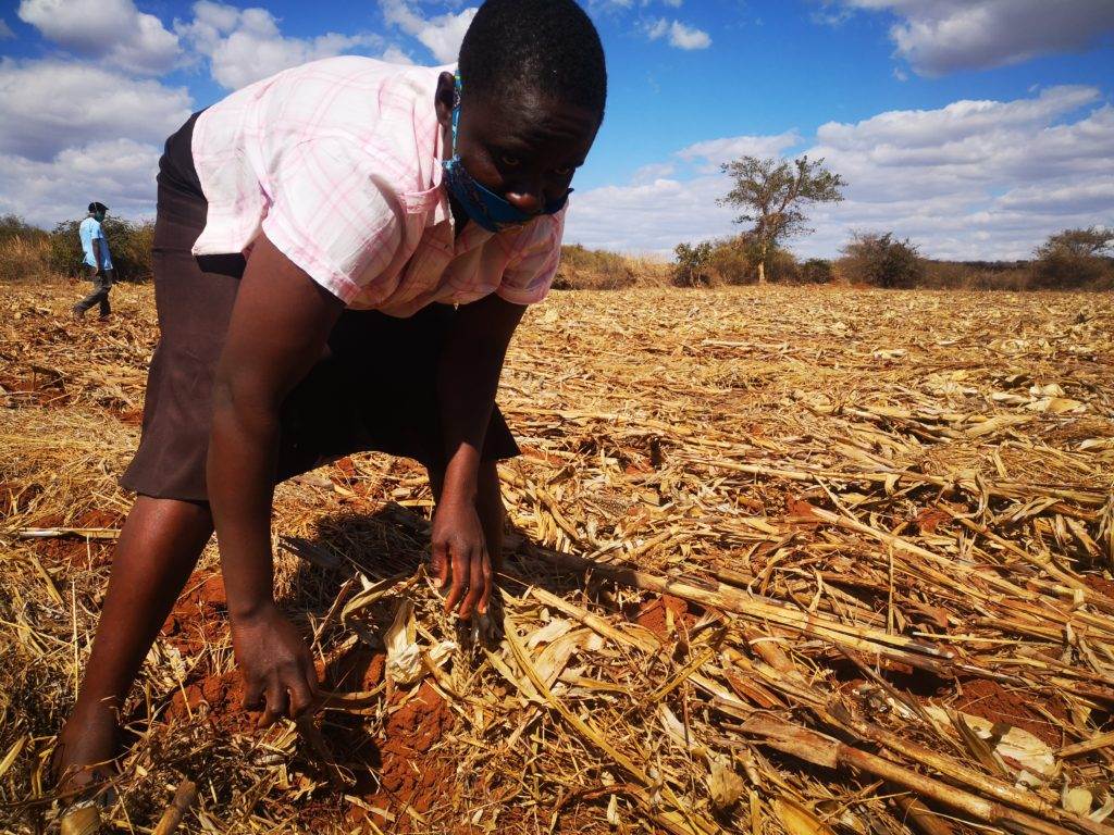 Regenerative farming - Practical Action