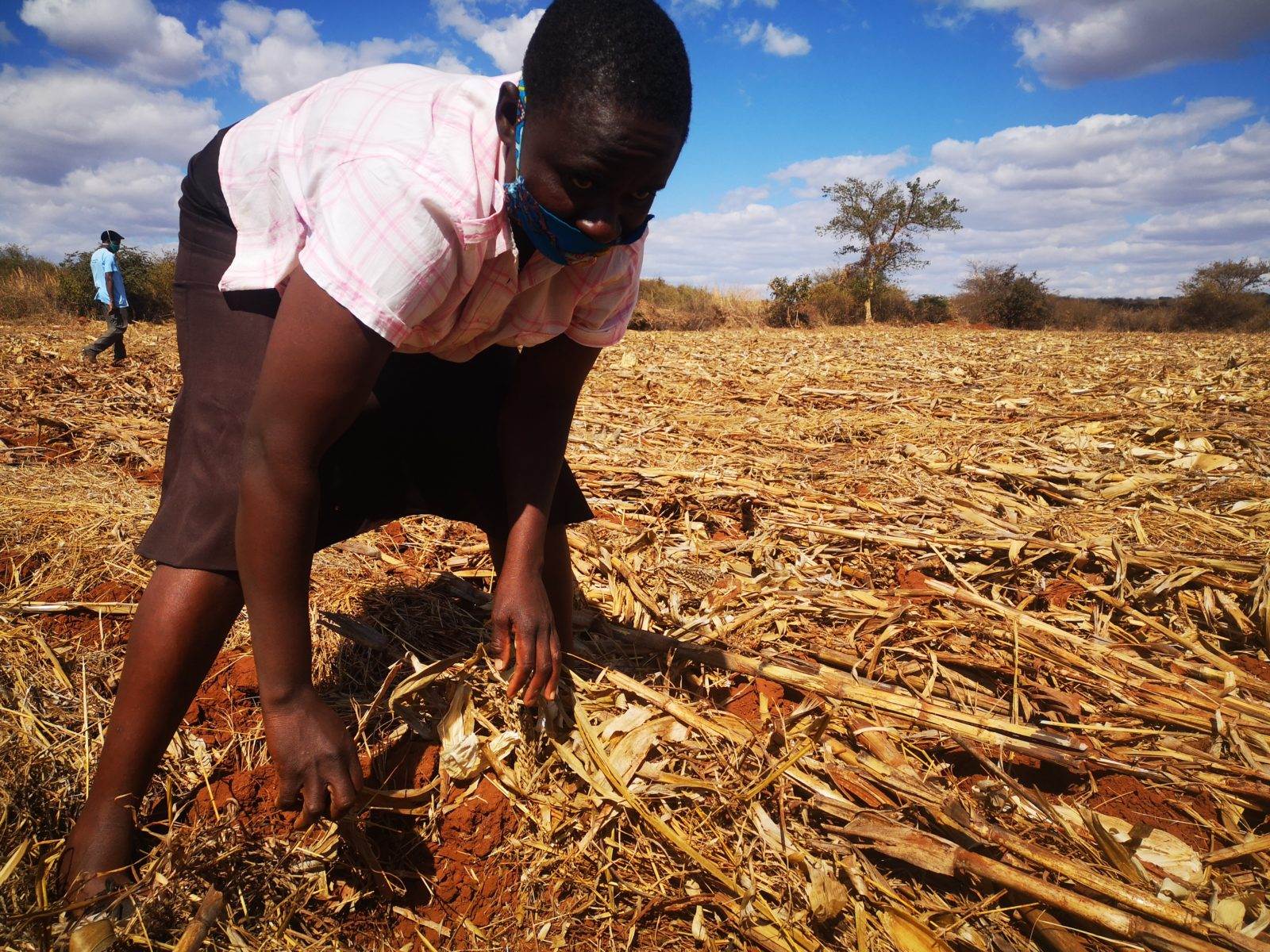 Regenerative farming - Practical Action