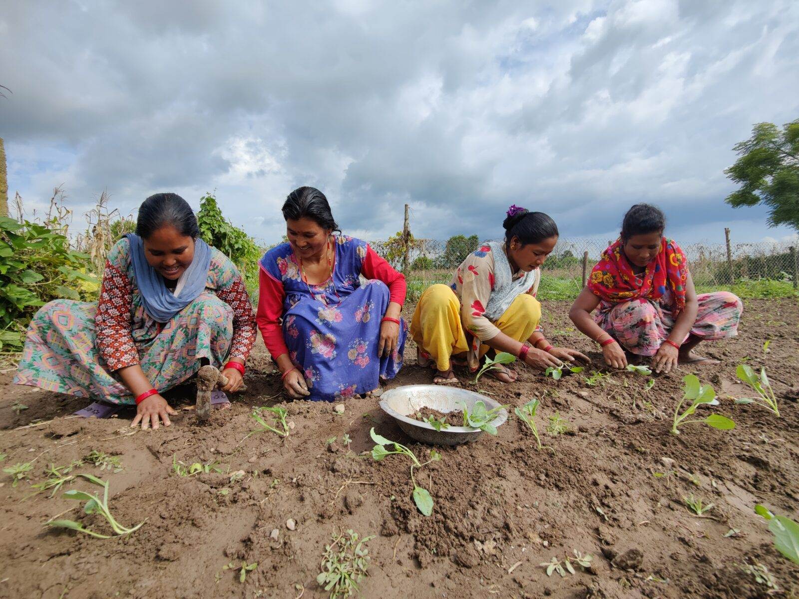 We Are Practical Action