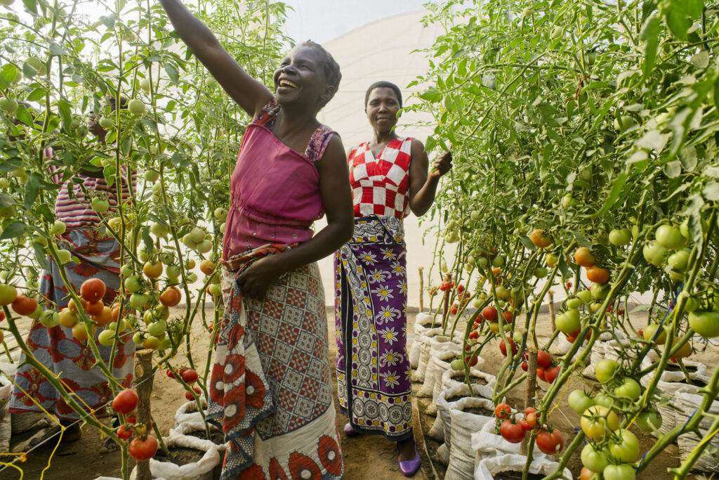 We Are Practical Action