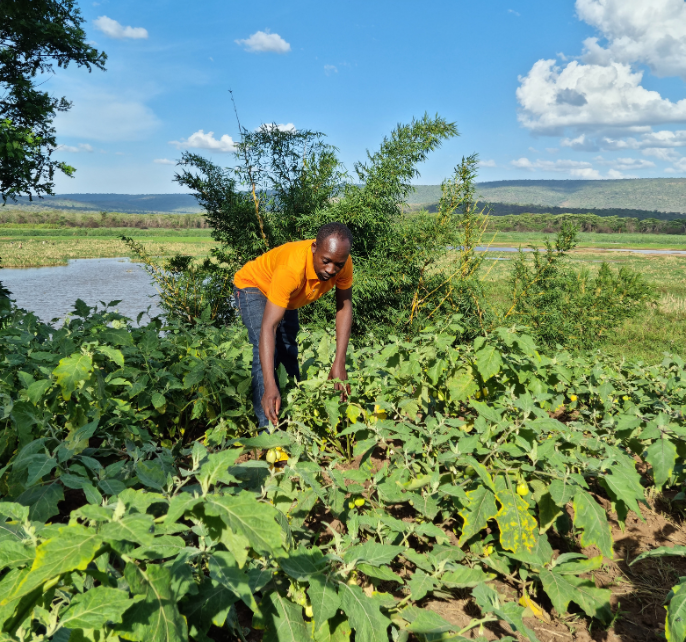 Farming that restores life - Practical Action