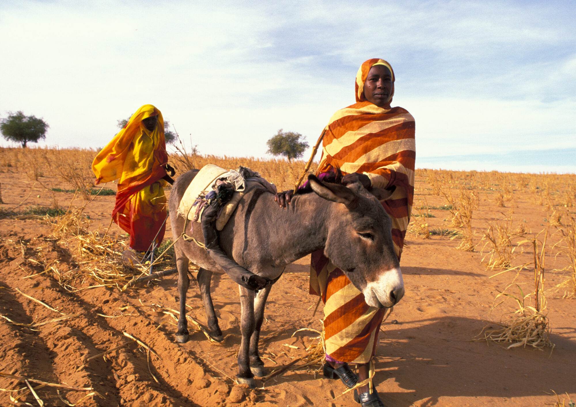 Moving Beyond Subsistence - Practical Action