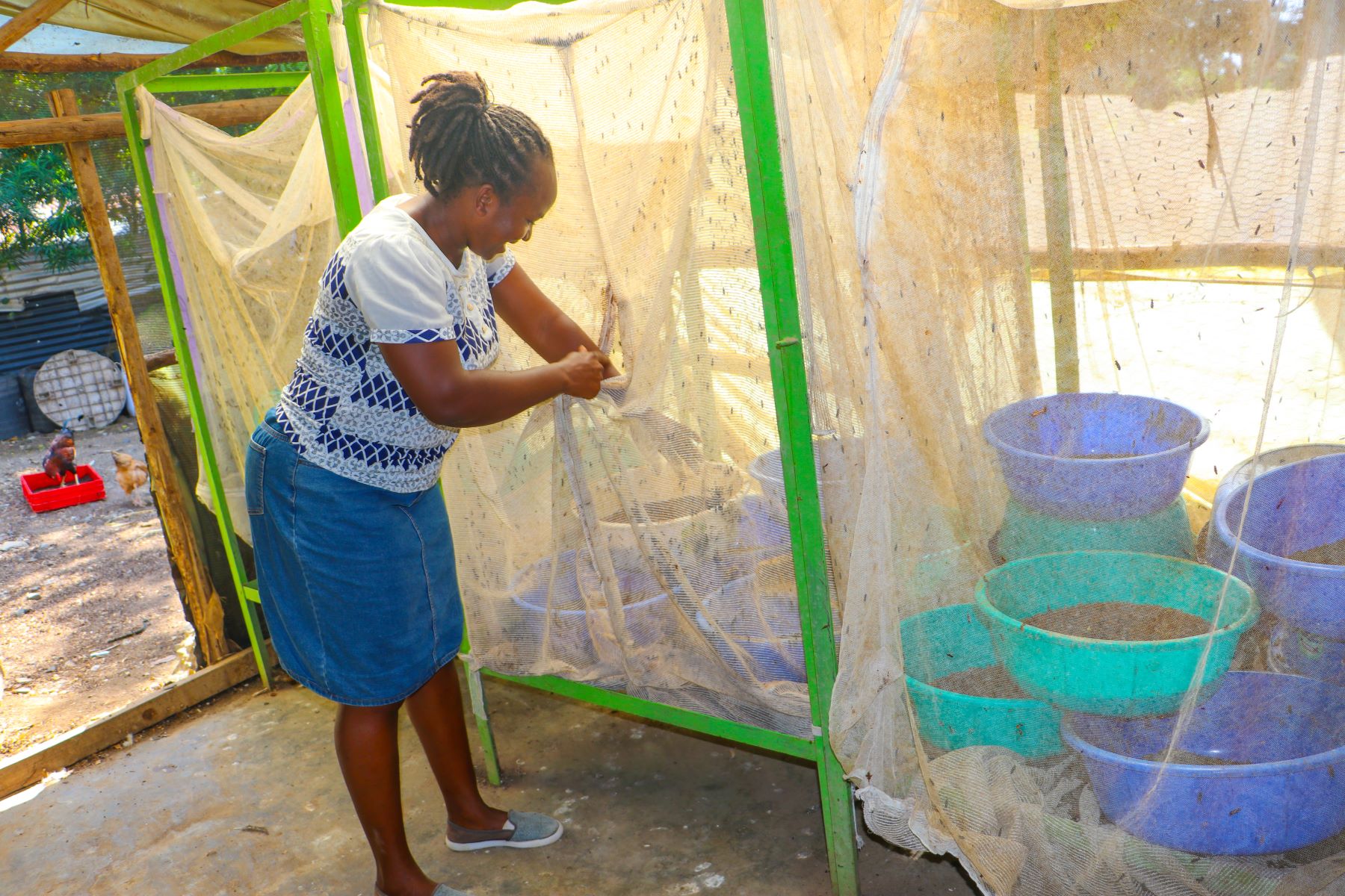 Room to grow - Nephile's Story - Practical Action