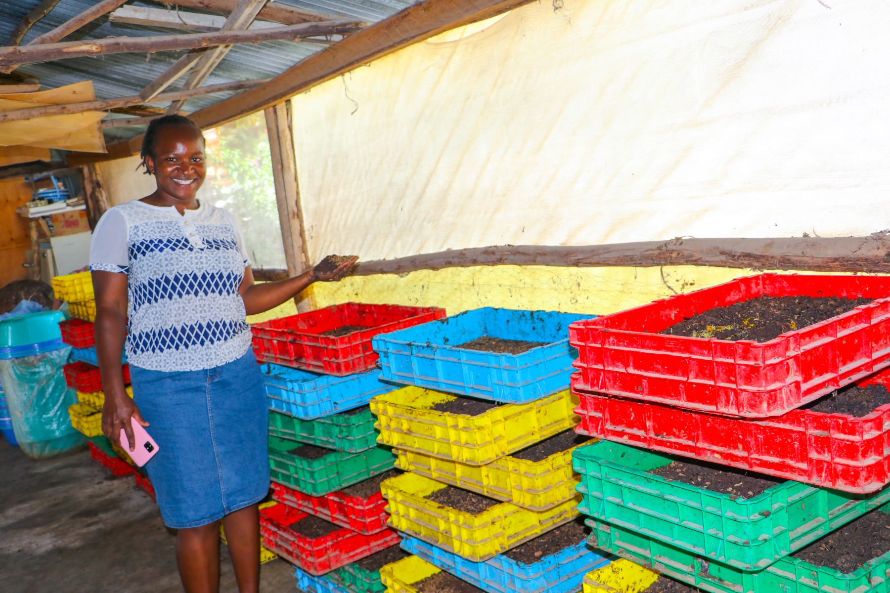 Room to grow - Nephile's Story - Practical Action